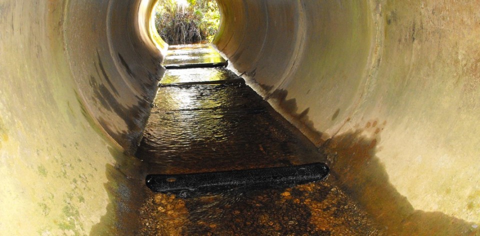 Fish Ladder Solutions | Helping fish get upstream