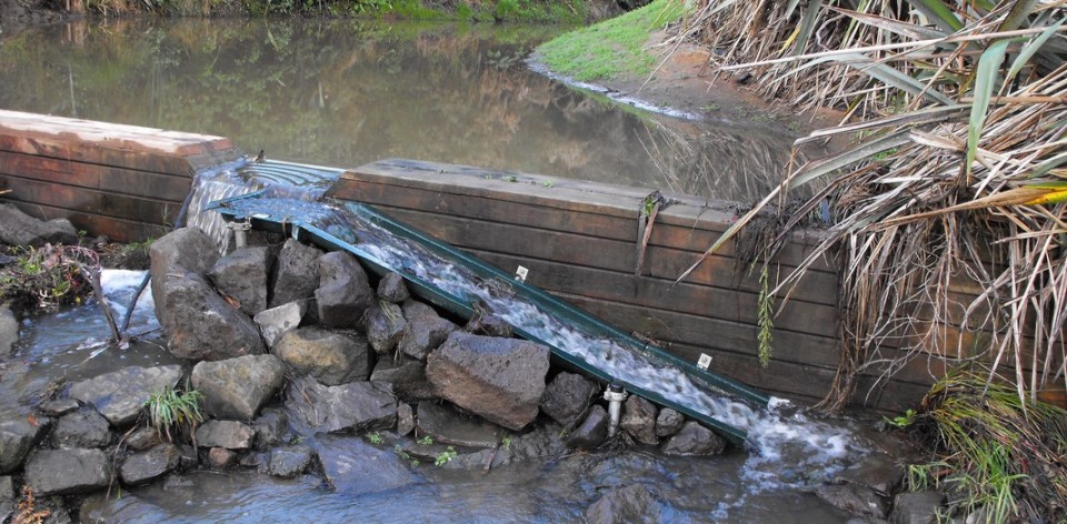 Fish Ladder Solutions | Helping fish get upstream