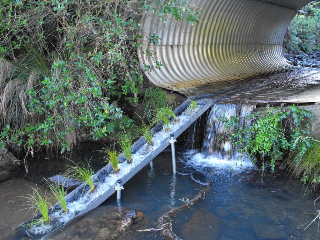 Stainless steel fish ladder | Fish Ladder Solutions